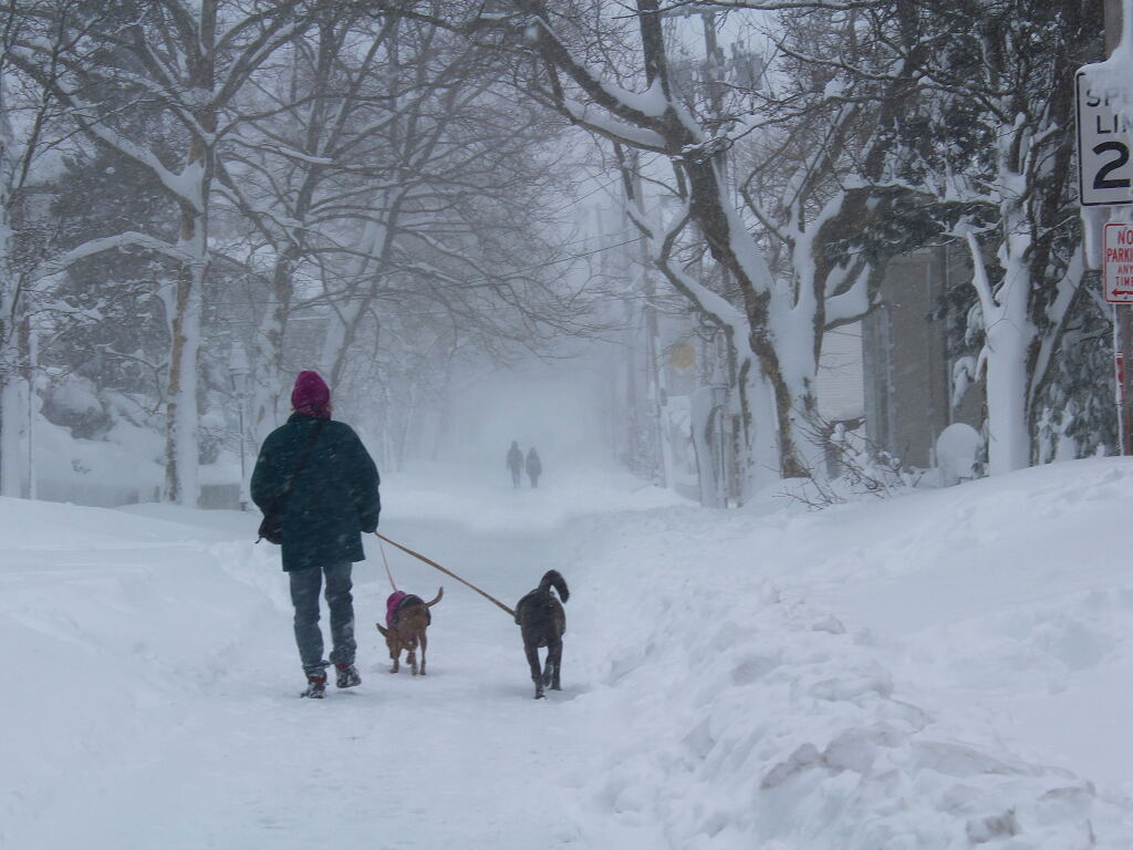 Historic blizzard sets new snowfall record in Rhode Island - Ocean ...